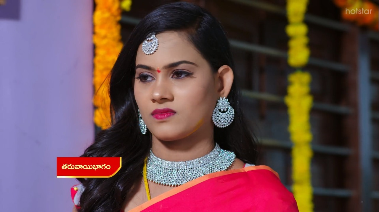 Vadinamma : వ్రతం అయ్యింది.. ముందుంది ముసళ్ళ పండుగ.. మరో ప్లాన్ తో ...