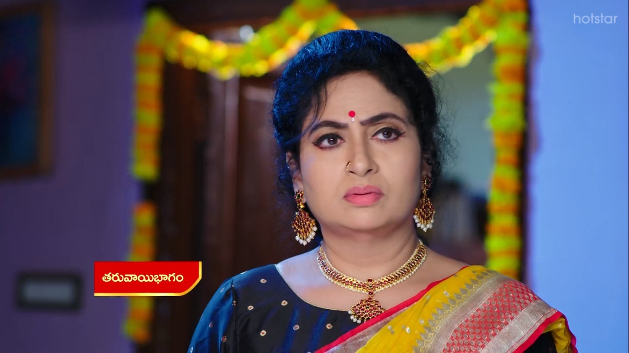 Vadinamma : గుమ్మడికాయను నమ్ముకున్న దమయంతి.. పార్వతి దెబ్బతో శోభనం ...