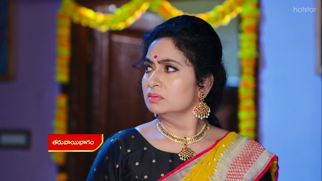 Vadinamma : గుమ్మడికాయను నమ్ముకున్న దమయంతి.. పార్వతి దెబ్బతో శోభనం ...