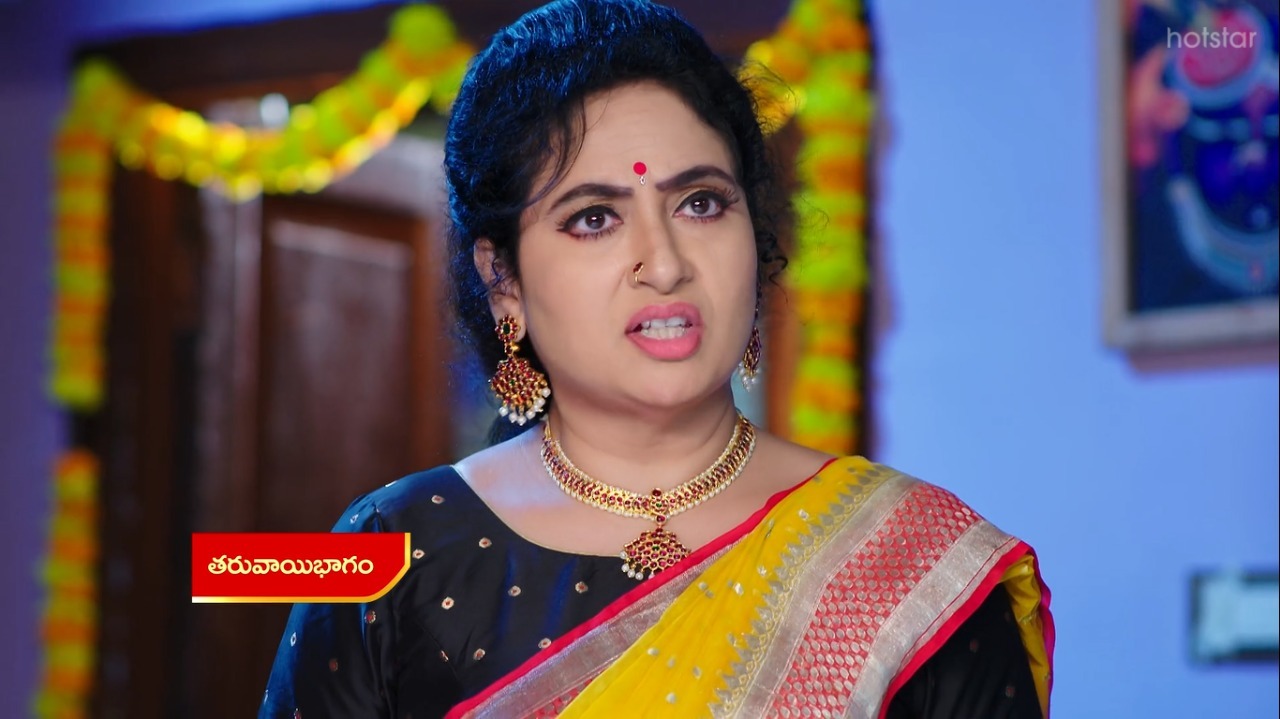Vadinamma : గుమ్మడికాయను నమ్ముకున్న దమయంతి.. పార్వతి దెబ్బతో శోభనం ...