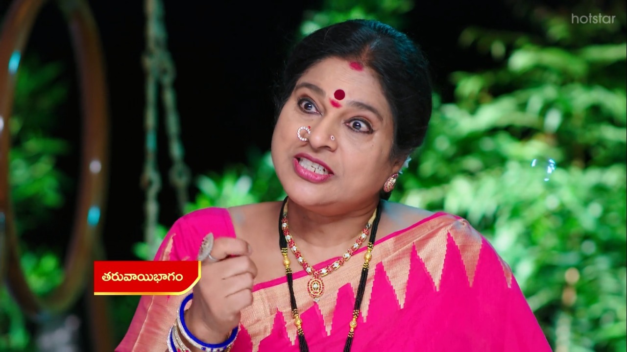 Vadinamma : గుమ్మడికాయను నమ్ముకున్న దమయంతి.. పార్వతి దెబ్బతో శోభనం ...