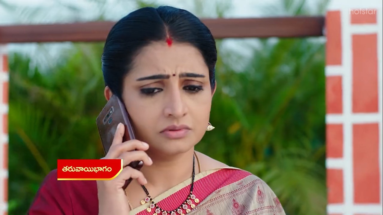 Vadinamma : ఆపదలో వైదేహి.. అమ్మమ్మ కిడ్నాప్, ఇంతలో? | Vadinamma Serial ...