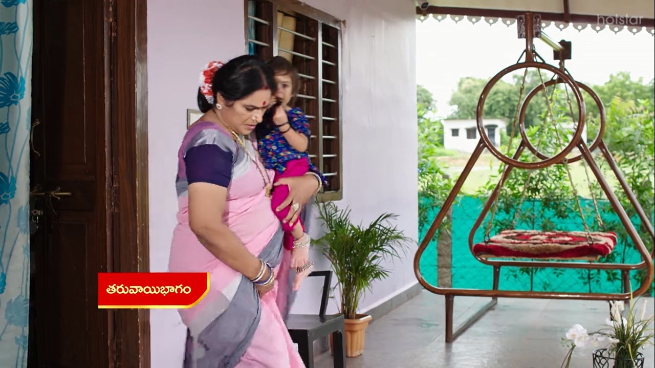 Vadinamma : ఆపదలో వైదేహి.. అమ్మమ్మ కిడ్నాప్, ఇంతలో? | Vadinamma Serial ...