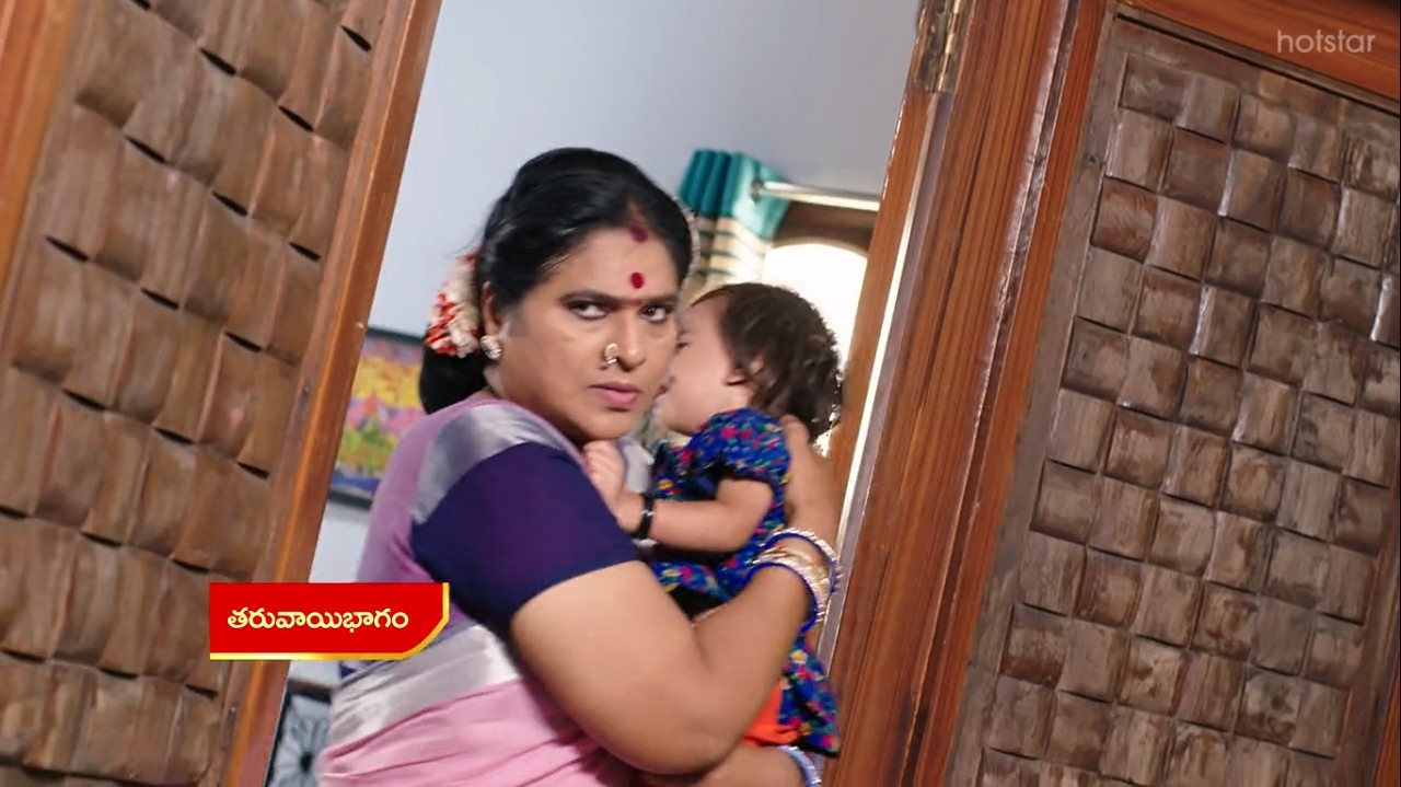 Vadinamma : ఆపదలో వైదేహి.. అమ్మమ్మ కిడ్నాప్, ఇంతలో? | Vadinamma Serial ...
