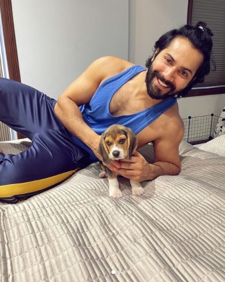Varun Dhawan's Photos With His Pup Joey Is The Cutest Thing On The ...
