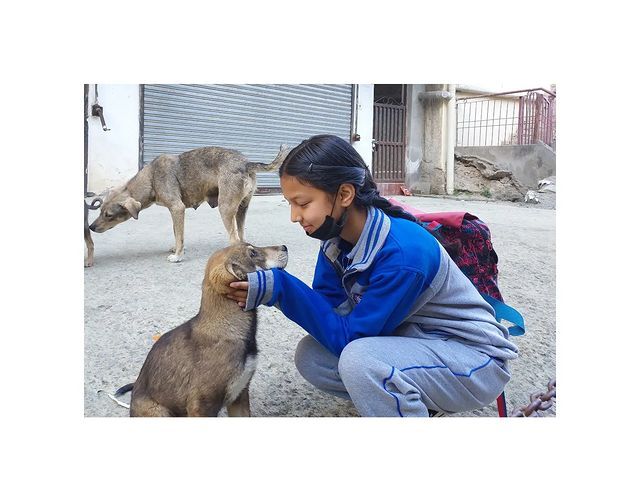 Twinkle Sharmaa : RRR బాలనటి ట్వింకిల్‌ శర్మ ఎంత అందంగా ఉందో చూశారా ...