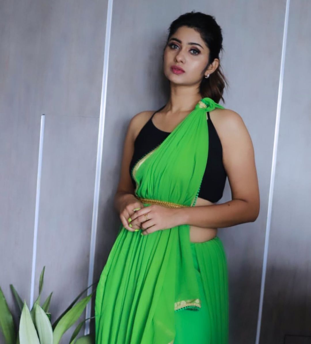 വിഷു കണിയൊരുക്കി കുടുംബവിളക്ക് താരം, നടിയുടെ ഫോട്ടോസ് കാണാം ...