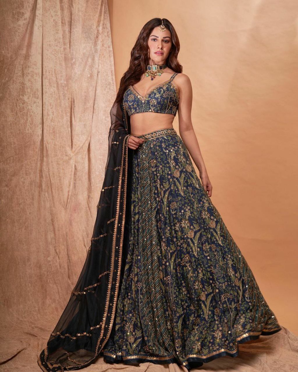 Amyra Dastur: బికినీ వేసినా.. ట్రెడిషినల్ డ్రెస్ వేసుకున్నా అదే జోరు ...