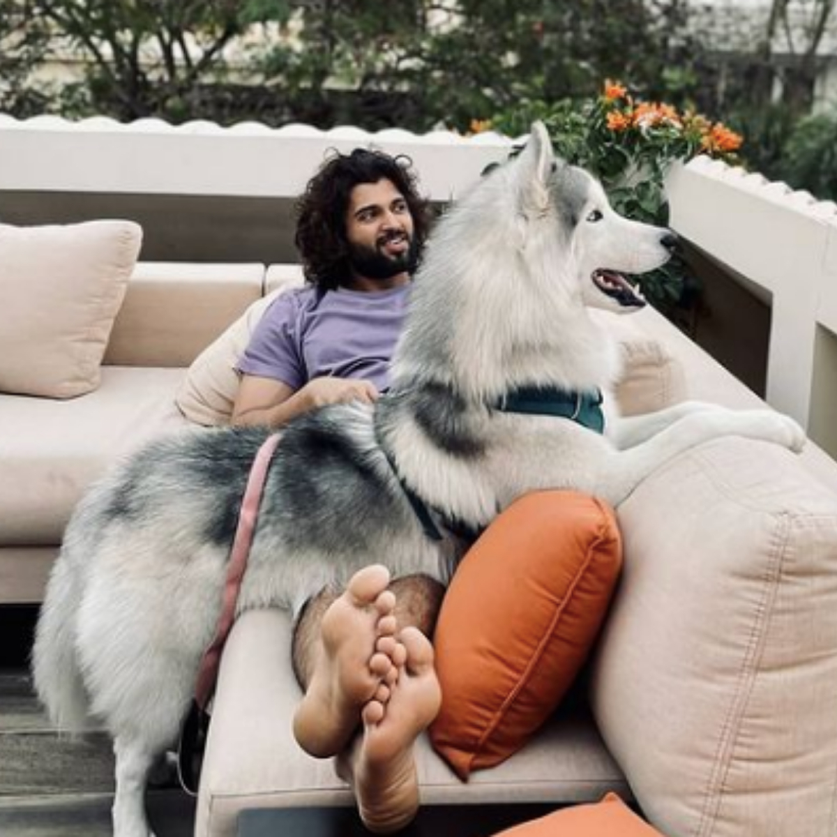 You are not ready for this Pawsome Experience, 7 South Indian ...