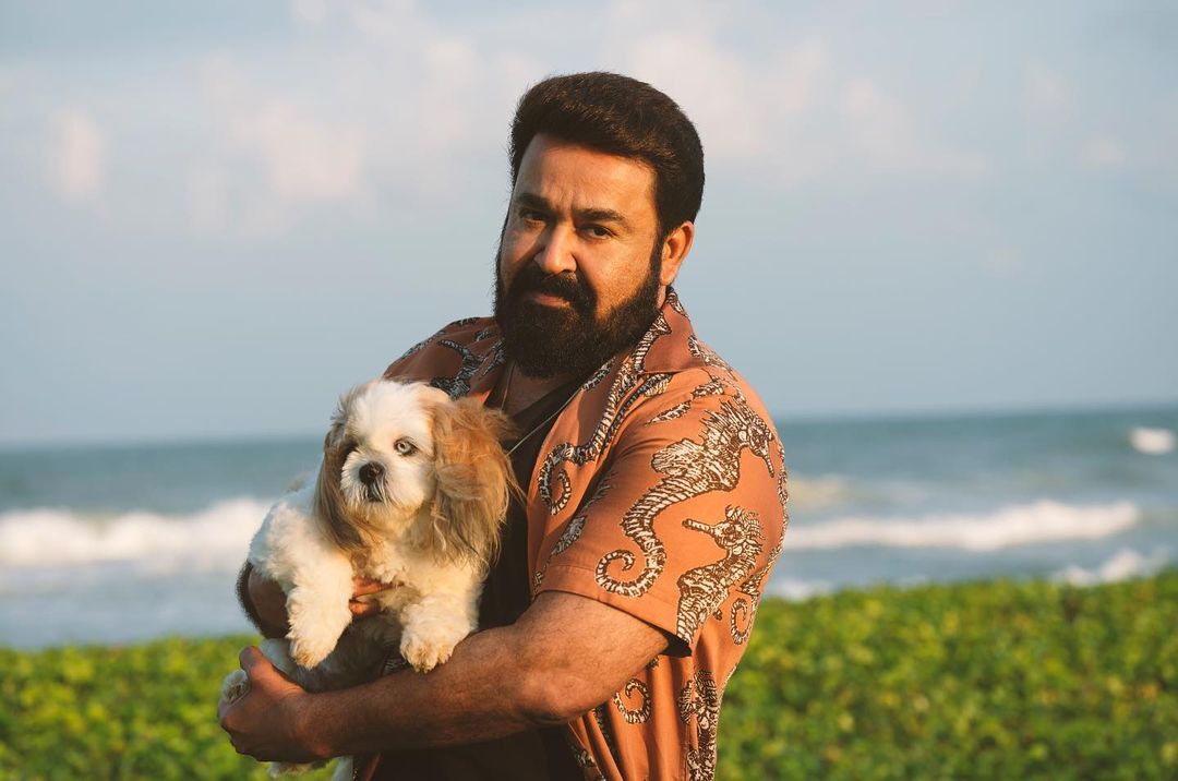You are not ready for this Pawsome Experience, 7 South Indian ...