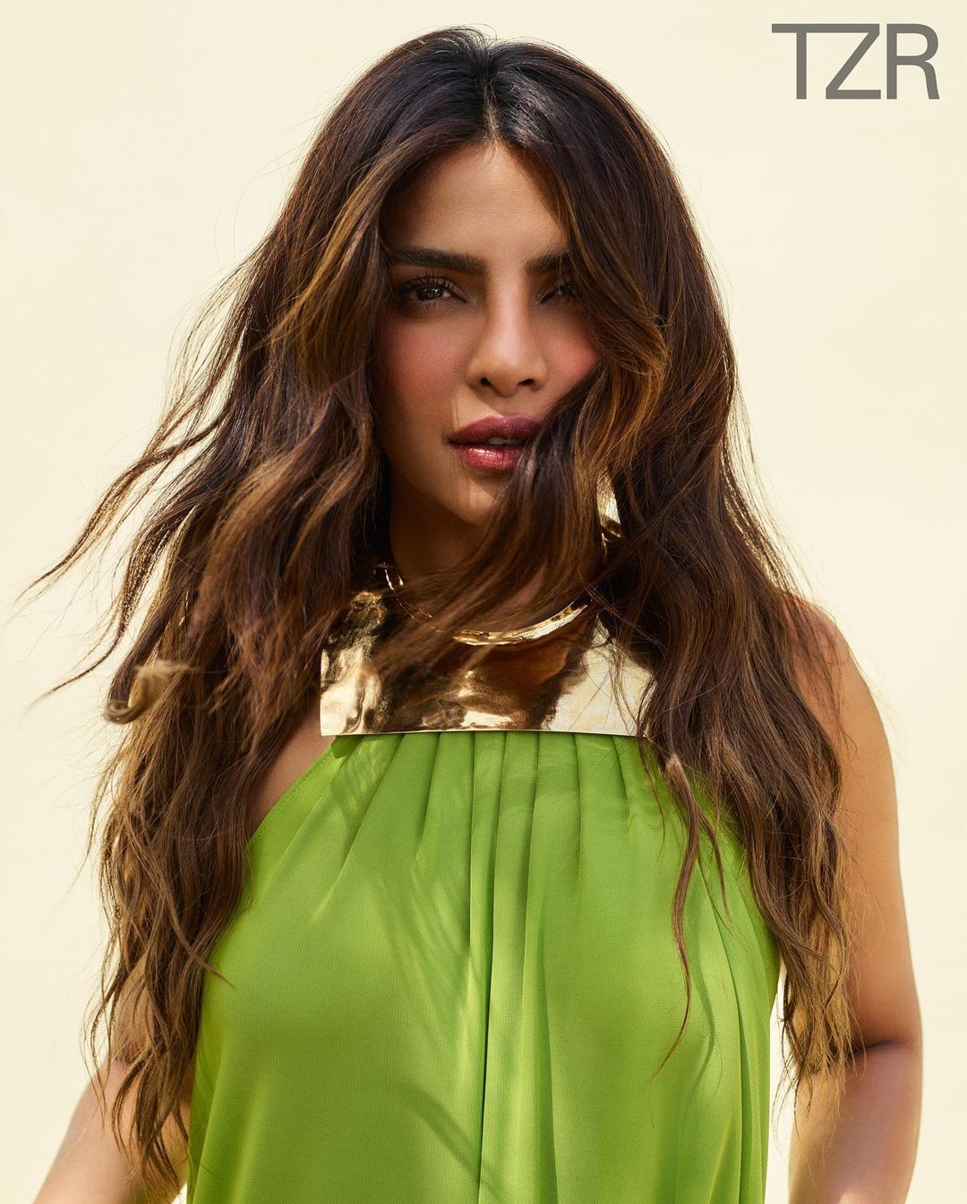 Global Star Priyanka Chopra turns up the heat, gets a heart from ...