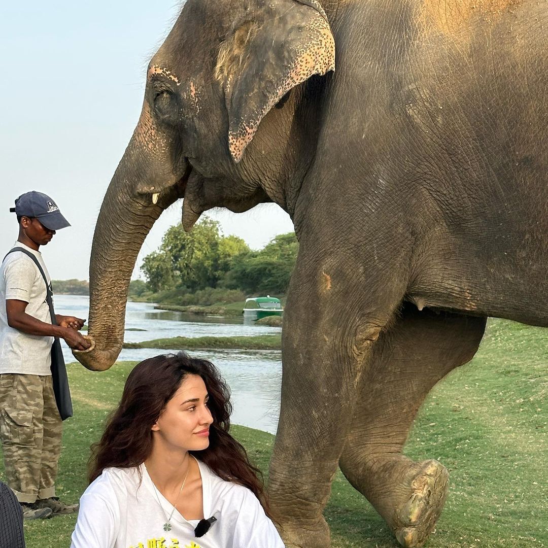 Disha Patani’s Birthday Post on social media is All About a Grateful Year, the actress shared ...