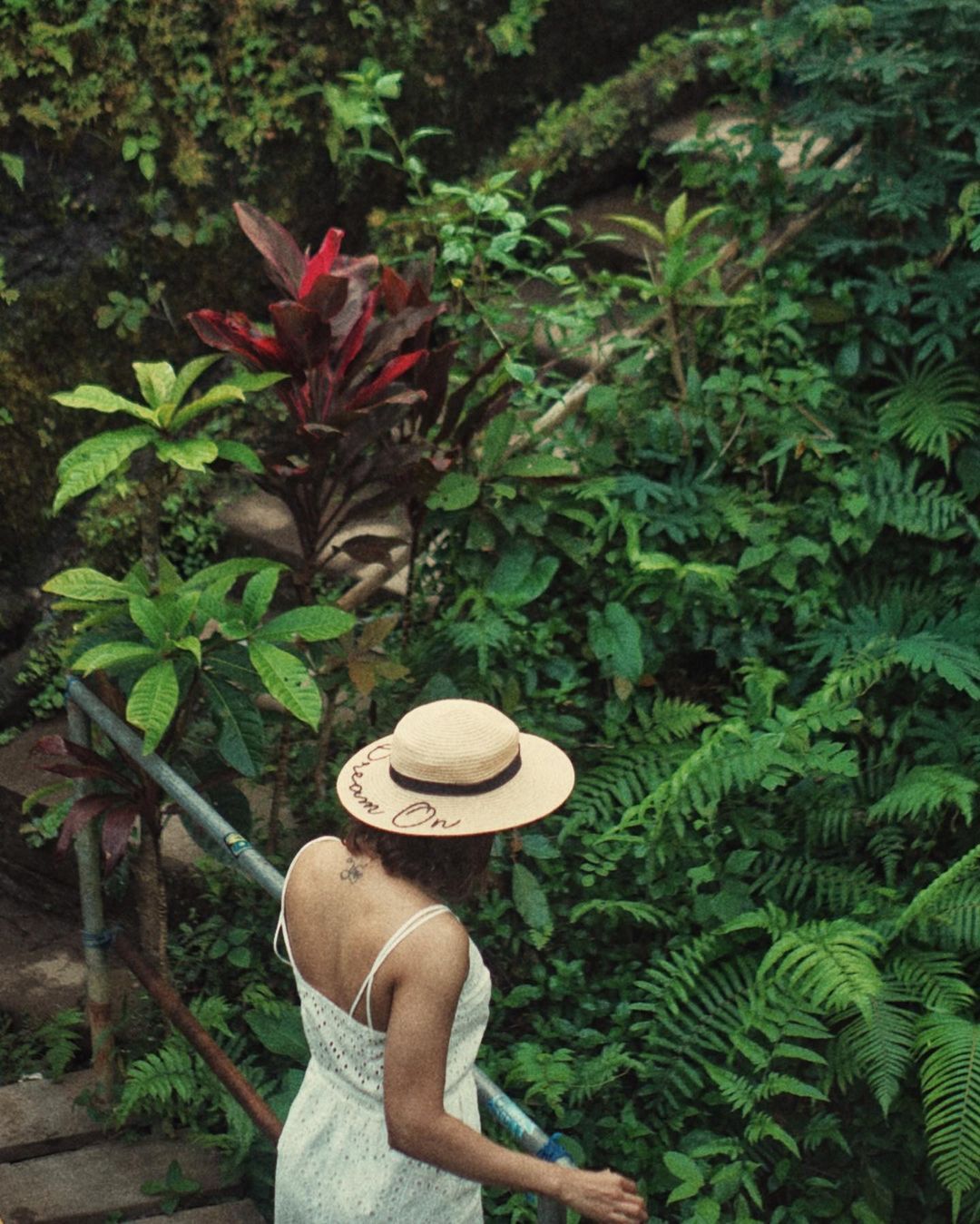 ‘Spot the Monkey’, Samantha Ruth Prabhu’s goofy selfie with a Monkey ...