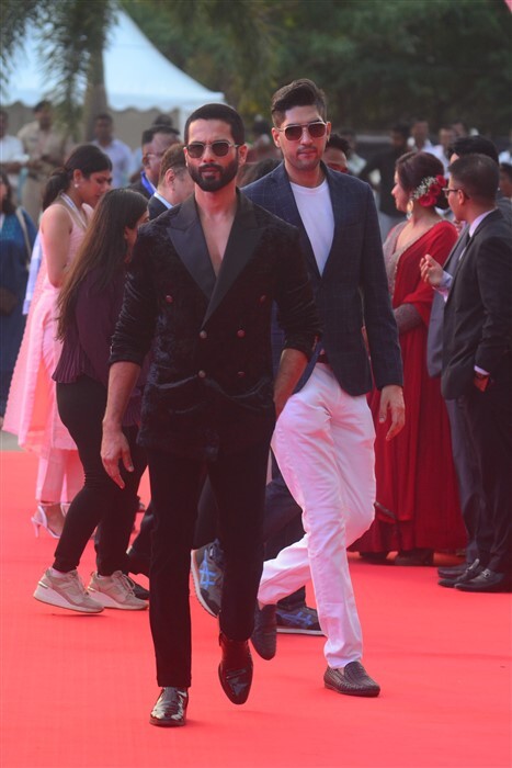 IFFI 2023: Sara Ali Khan, Shahid Kapoor & Others Kick Start 54th International Film Festival of ...