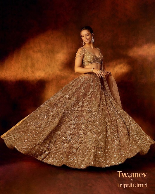 Tripti Dimri Birthday ఘాటు అందాలతో త్రిప్తి దిమ్రి గ్లామర్ షో... స్టార్ ...