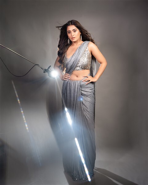 Raashi Singh నాభీ అందాలతో రాశీ సింగ్.. చీరకట్టులో గ్లామర్ ట్రీట్ ...