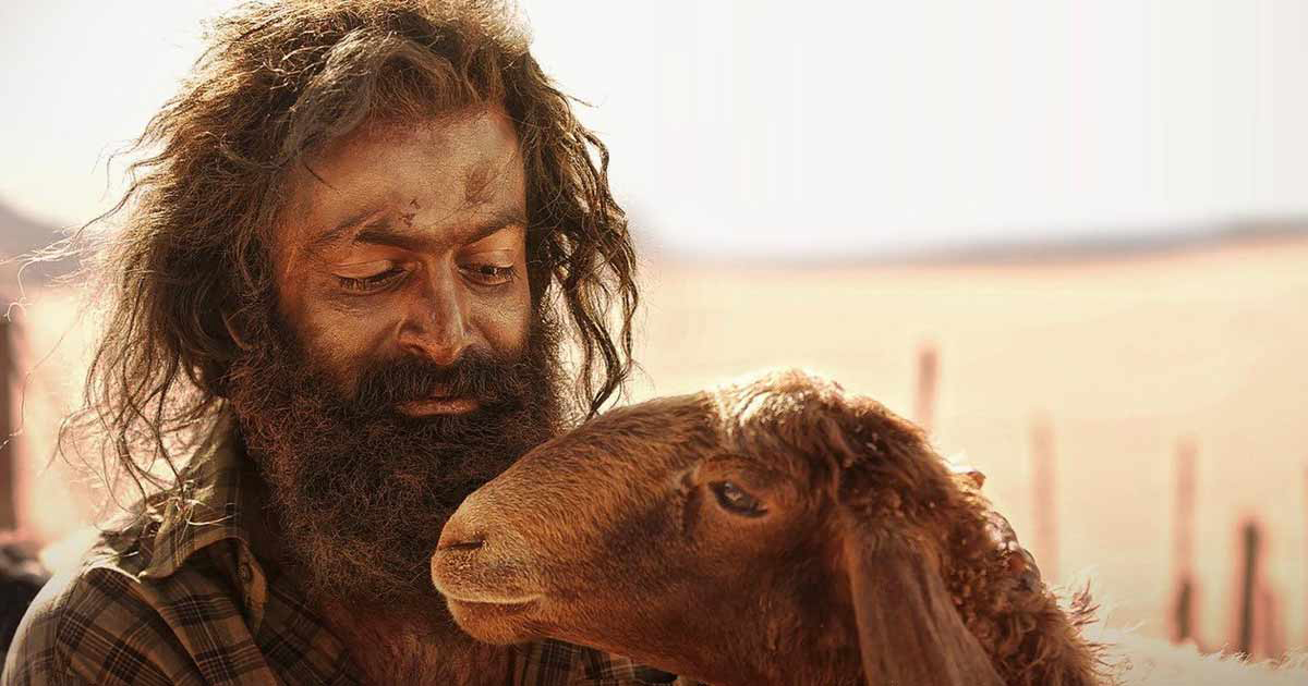 The Goat Life Collections ఓవర్సీస్‌లో ఆడు జీవితం రికార్డు కలెక్షన్లు ...