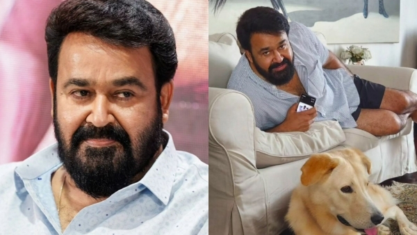 'പൃഥ്വി പറഞ്ഞപ്പോൾ വിശ്വസിച്ചില്ല... ഇപ്പോൾ നേരിട്ട് കണ്ടു..., ഒരു ...