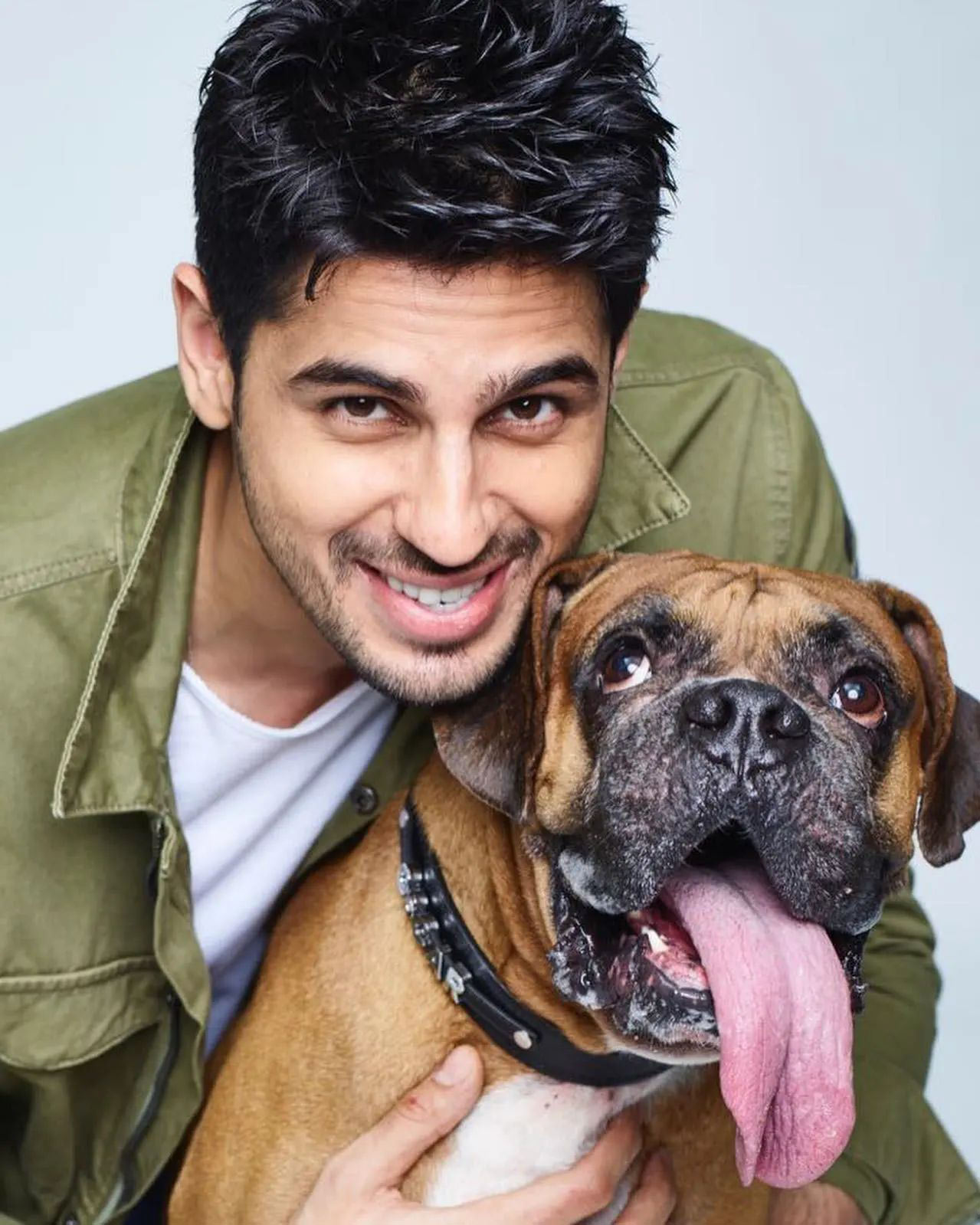 International Dog's Day 2024, Bollywood Celebrities And Their Dogs ...