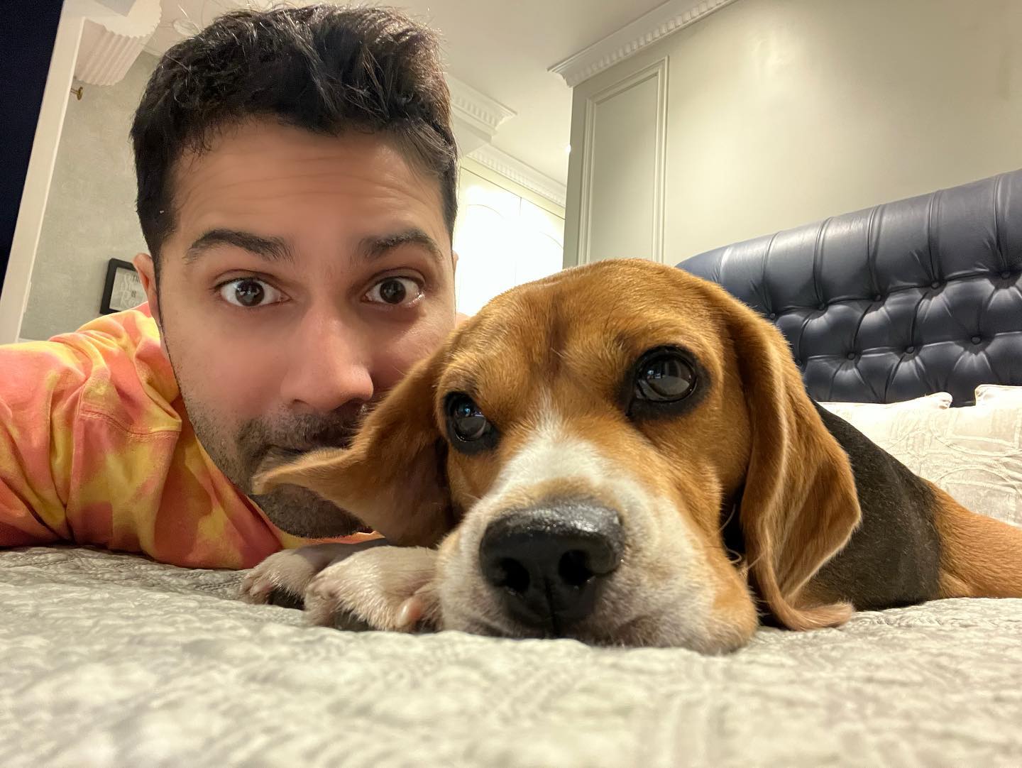 International Dog's Day 2024, Bollywood Celebrities And Their Dogs ...