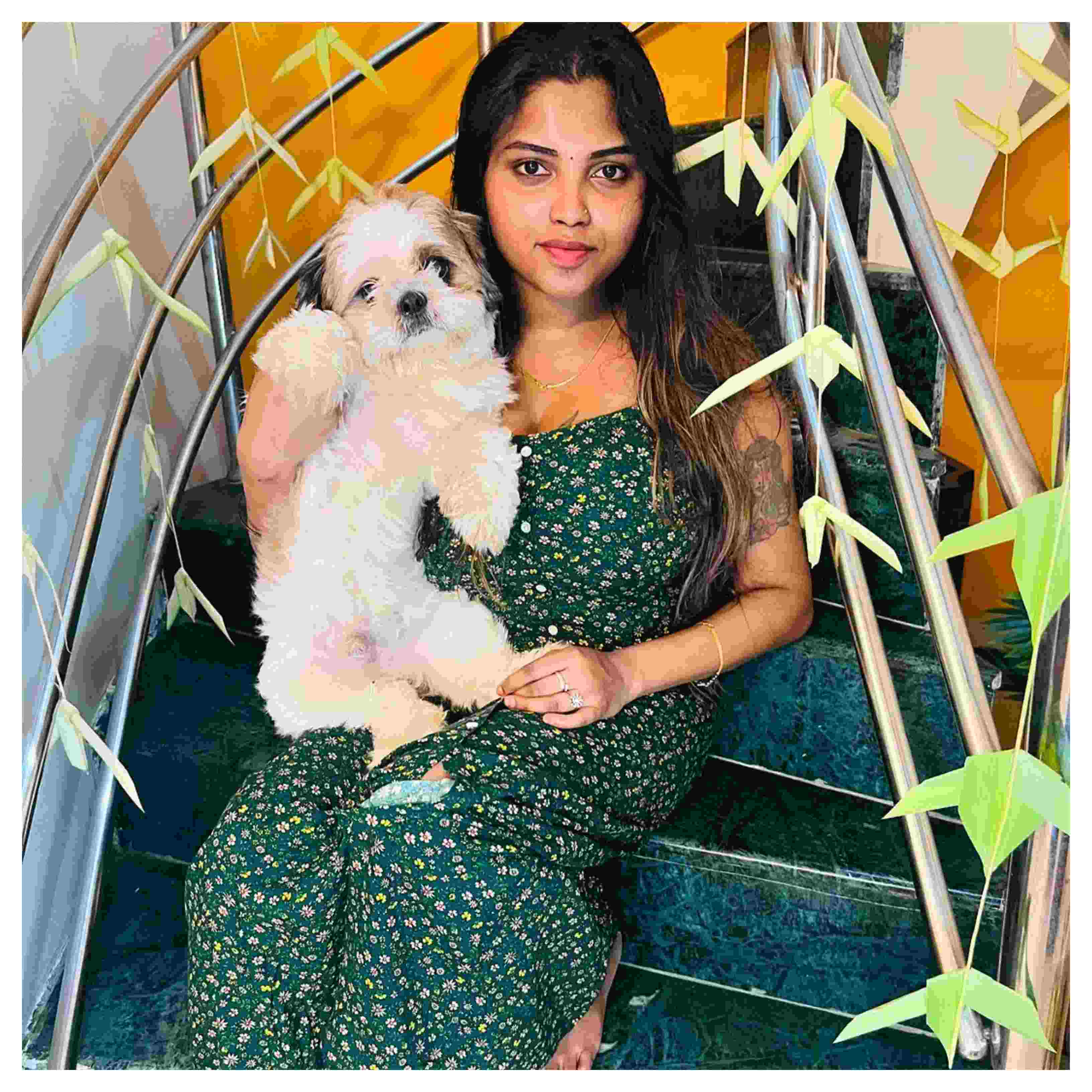 விநாயகர் முன்னாடி விவகாரமா போஸ் கொடுத்த இலக்கியா.. விளாசும் ஃபேன்ஸ்! | Tiktok Elakkiya Instagram ...