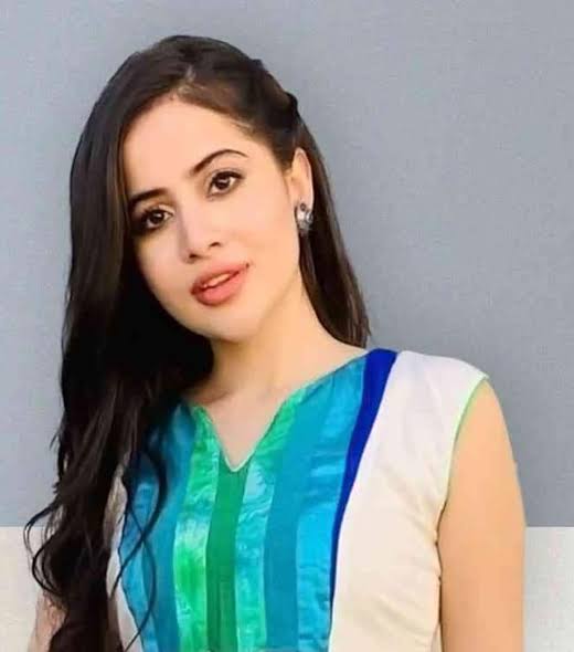 बोटोक्स और फिलर्स पर उर्फी जावेद ने दिया ज्ञान, अब करवाना चाहती हैं ब्रेस्ट सर्जरी, बोलीं- बहुत ...