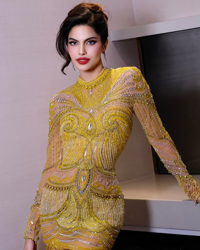 Rachel Gupta: Miss Grand India 2024 – Biography, Lifestyle, and ...