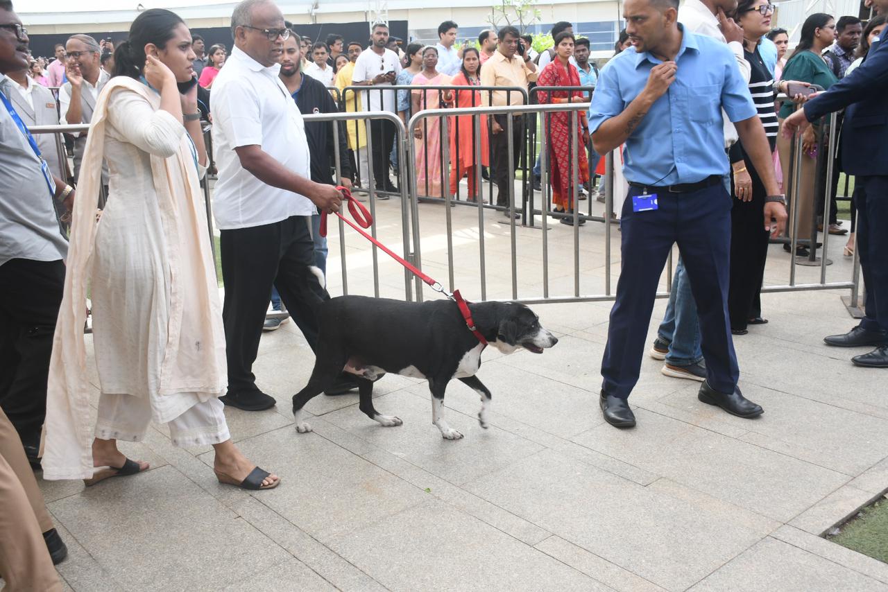 Ratan Tata Dog Goa Arrives To Pay Last Respect To His Owner - Filmibeat