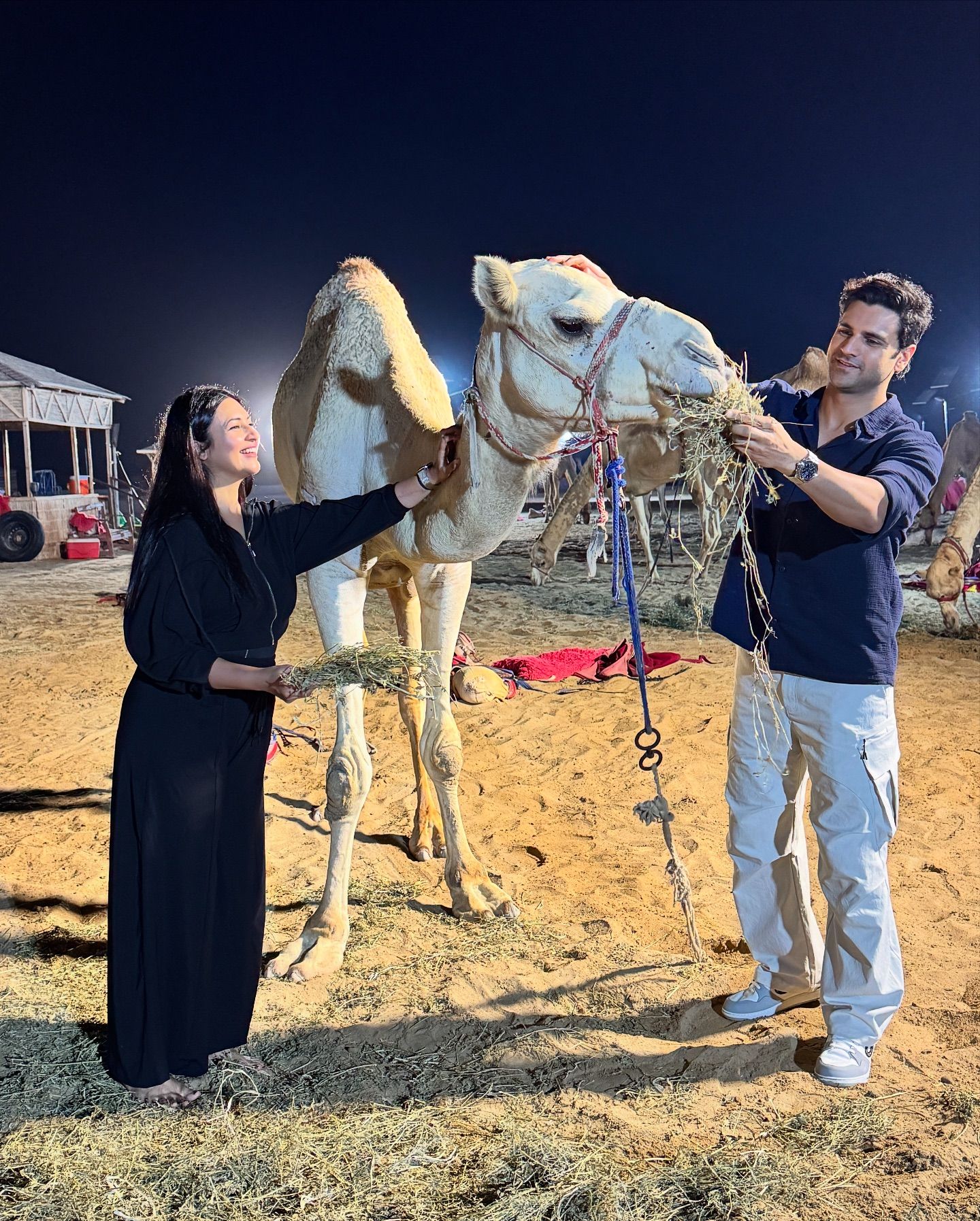 Divyanka Tripathi Dahiya's Enchanting Doha Vacation: Scenic Views ...