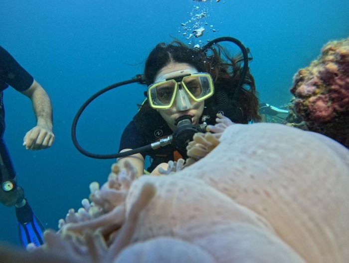 Palak Tiwari Shines At The Beach: From Scuba Diving to Relaxation ...