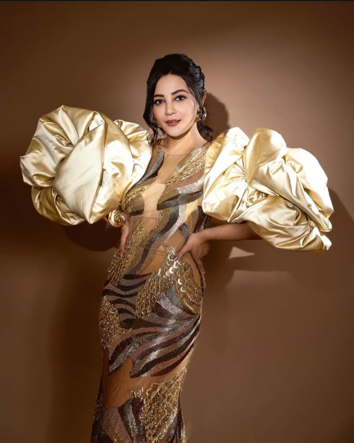 Kaveri Priyam Shines Bright In A Bold Golden Attire, Turning Heads With Her Dreamy Look - Filmibeat