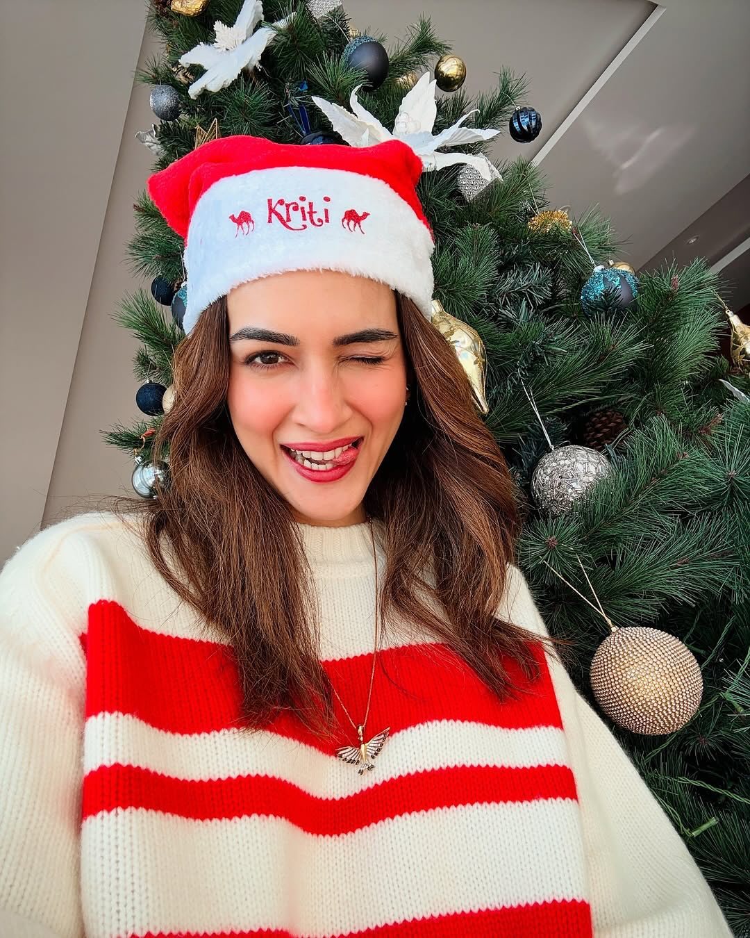 Kriti Sanon's Christmas Celebration With Kabir Bahia And MS Dhoni As ...