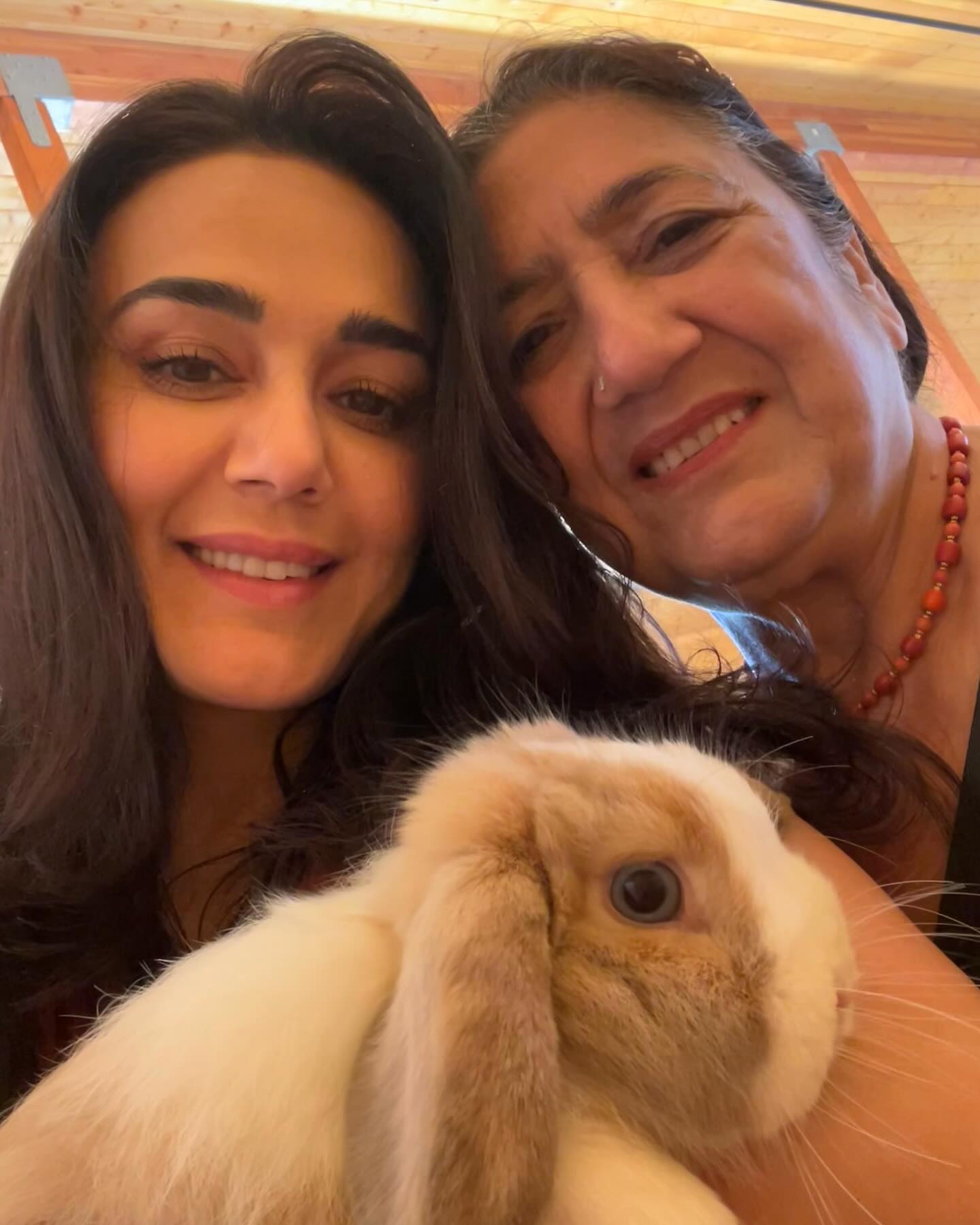 Preity Zinta's Heartfelt Thanksgiving Reunion And Birthday Wishes To ...