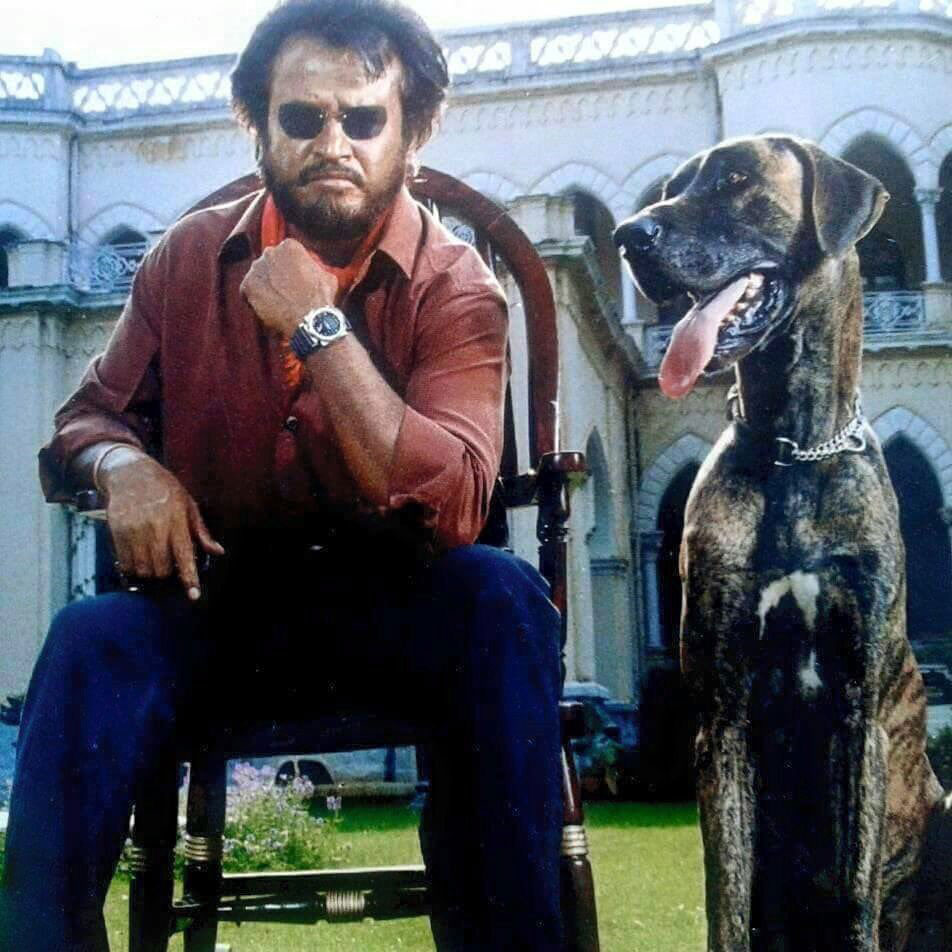 Rajinikanth Birthday Special Iconic Dialogues That Have Captivated