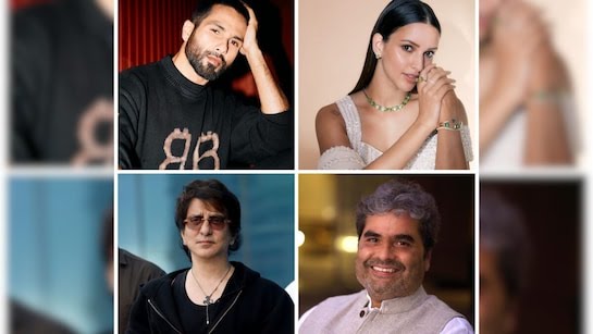 Dhadak 2 To Arjun Ustara: Triptii Dimri's Exciting Lineup Of Theatrical ...