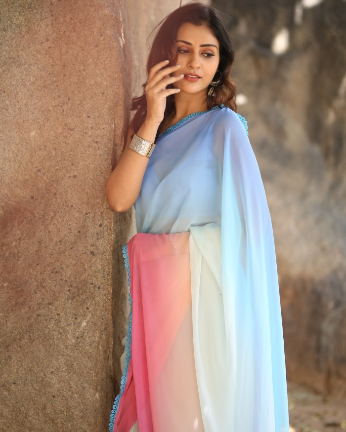 Payal Rajput's Captivating Look In Multicolored Saree - Filmibeat
