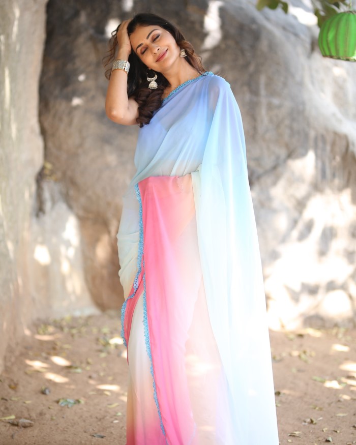 Payal Rajput's Captivating Look In Multicolored Saree - Filmibeat