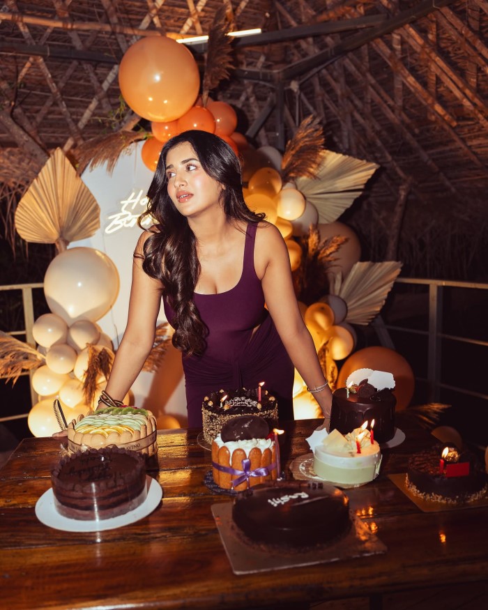 Rashi Singh's Glamorous Birthday Celebration - Filmibeat