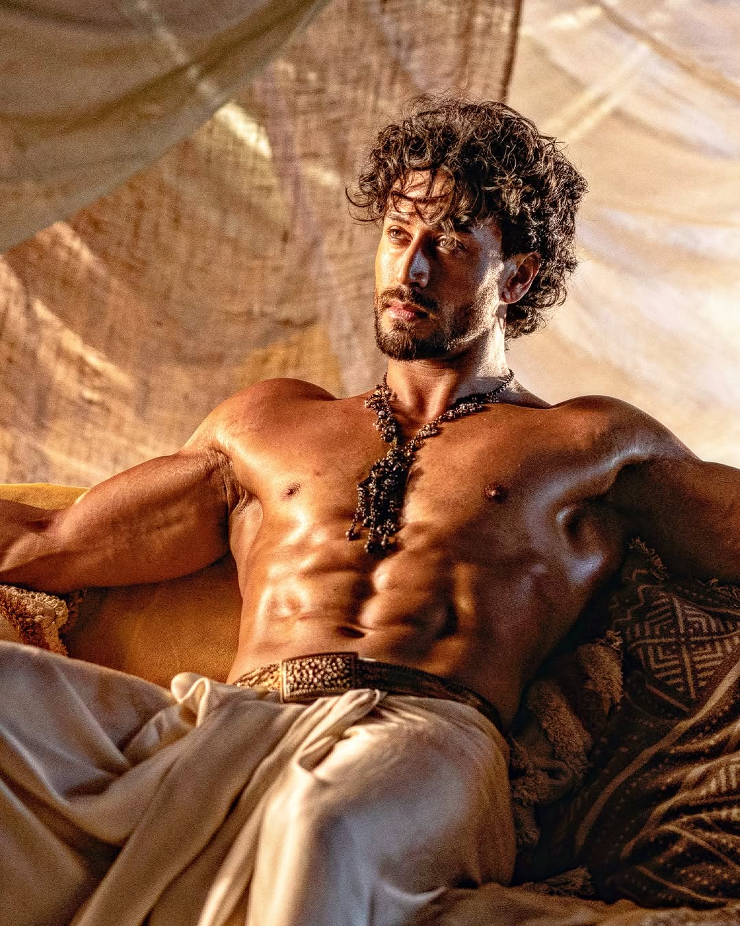 Tiger Shroff's Impressive Physique: A Perfect Blend of Toned Abs ...