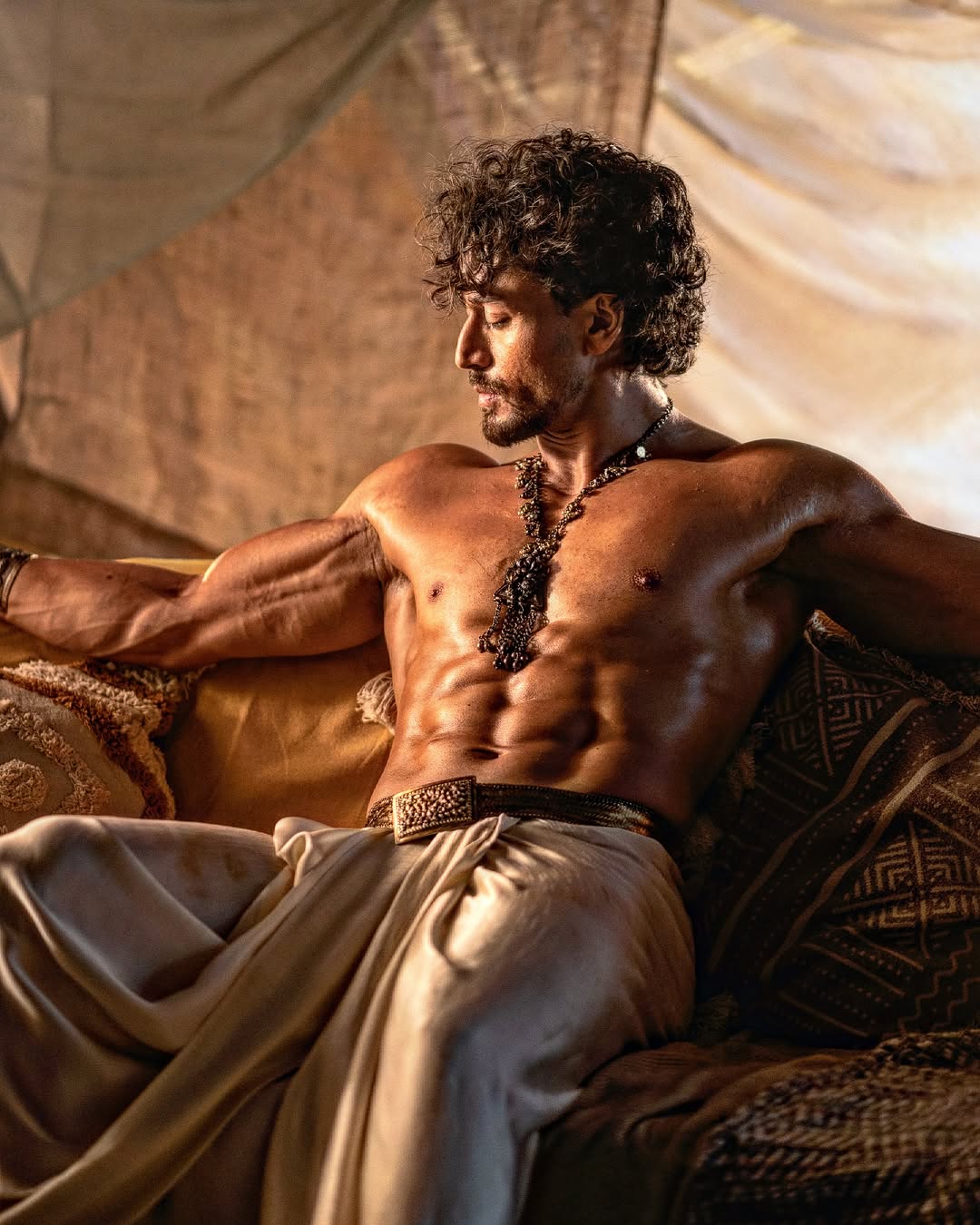 Tiger Shroff's Impressive Physique: A Perfect Blend of Toned Abs ...