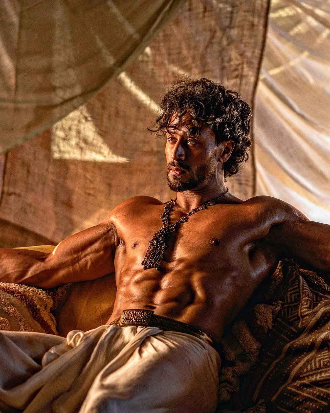 Tiger Shroff's Impressive Physique: A Perfect Blend of Toned Abs ...