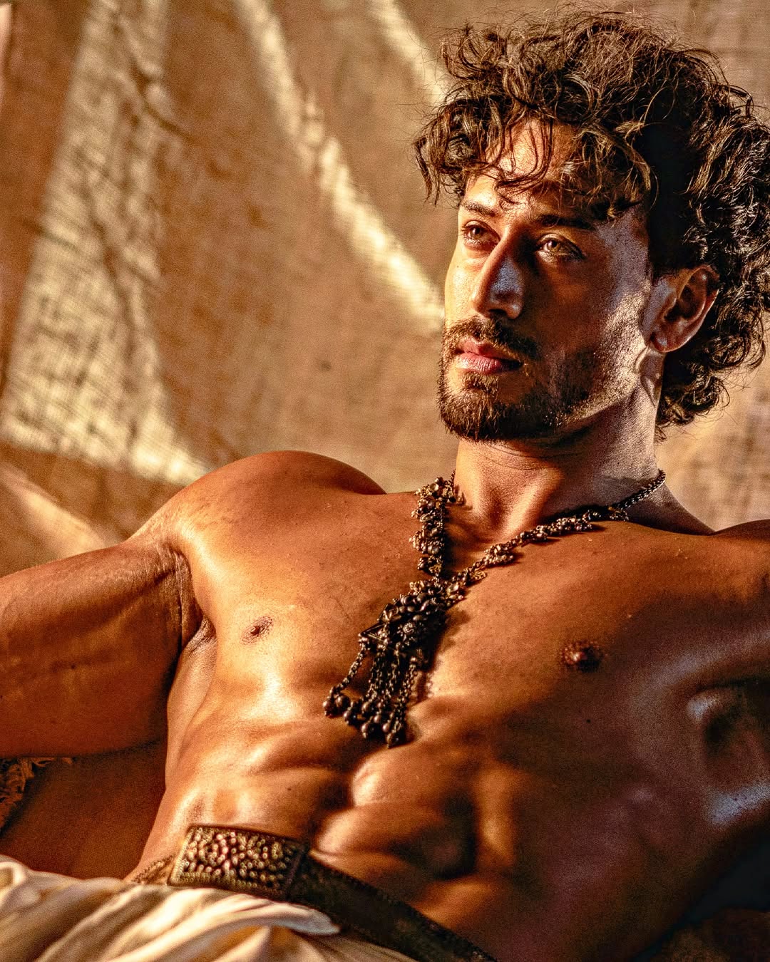 Tiger Shroff's Impressive Physique: A Perfect Blend of Toned Abs ...