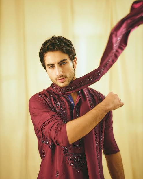 Vedang Raina to Ibrahim Ali Khan: 5 Young Actors We'd Like To See In a ...