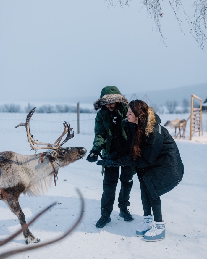 Pranitha Subhash and Nitin Raju's Romantic Iceland Getaway: A Pre ...