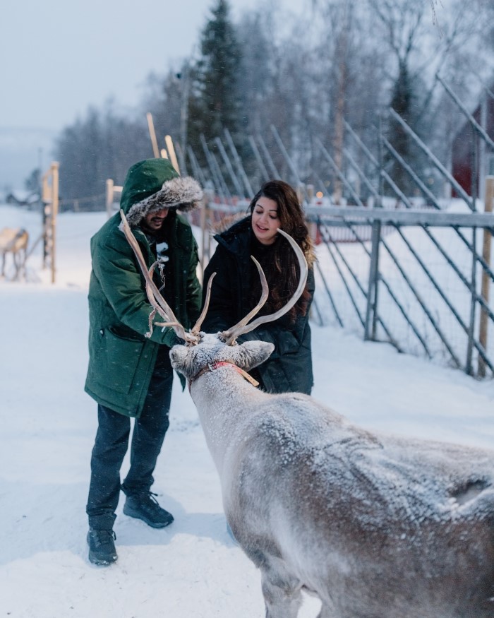 Pranitha Subhash and Nitin Raju's Romantic Iceland Getaway: A Pre ...