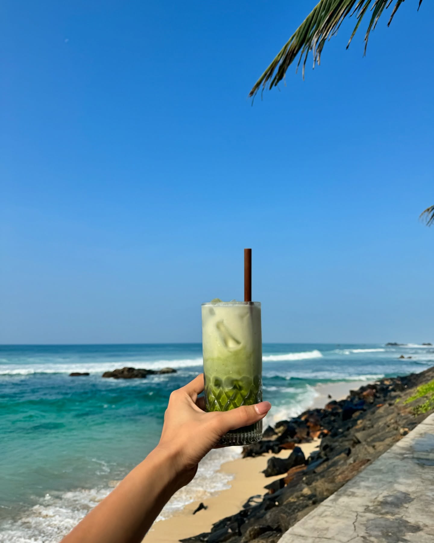 Alaya F Drops Snippets From Her 'Chill Holiday' Ft. Surfing, Enjoying A ...