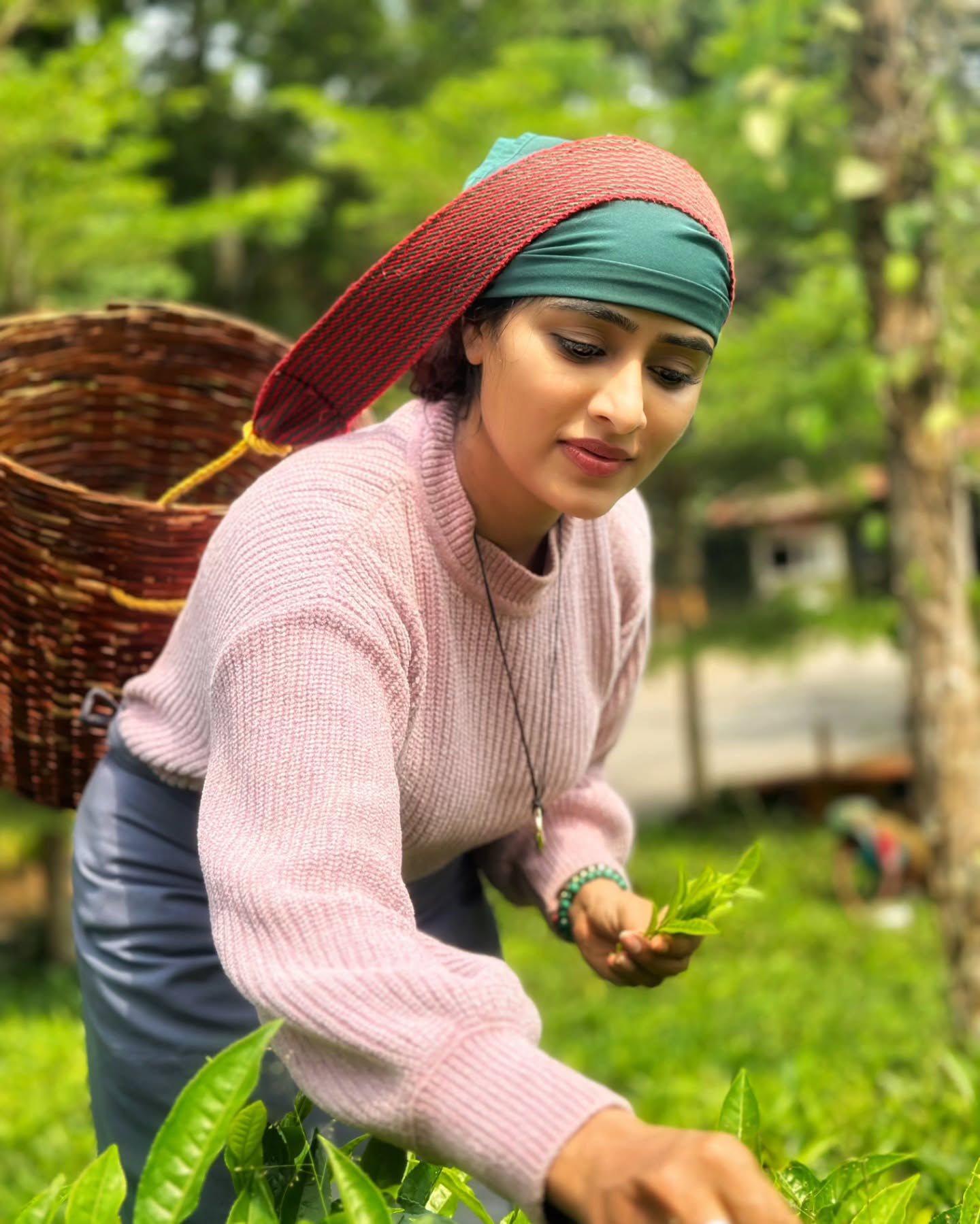 Sangeetha Sringeri's Tea Plucking Adventure At Wild Planet Jungle ...