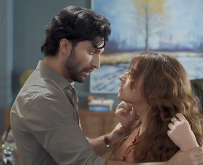 Pakistani Drama Meem Se Mohabbat: Fans Demand Season 2, Director Ali Hassan Responds, Will Meem ...