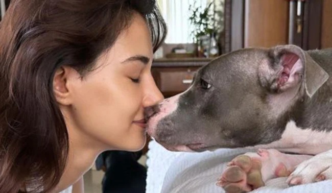 Pawprints Of Love: Bollywood Actresses Who Share Their Lives With Pets ...