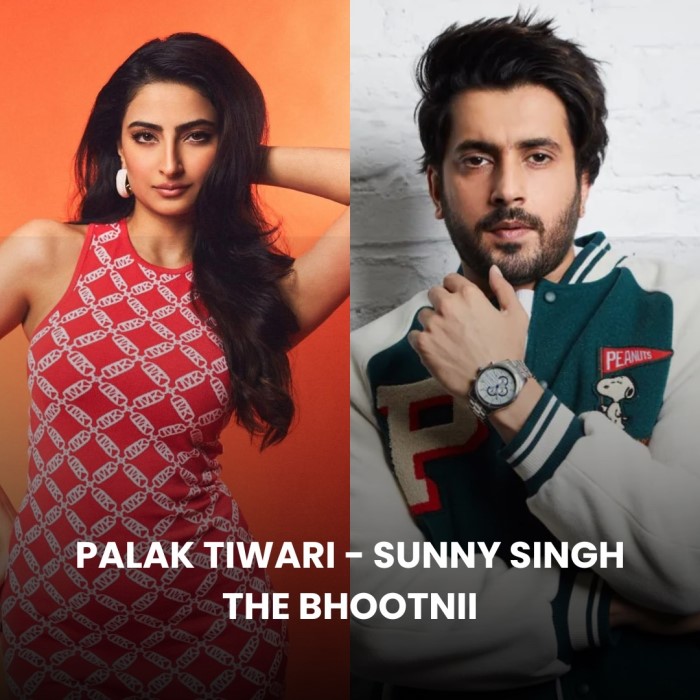 Sizzling New Duos: Fresh On-Screen Chemistry To Watch For! From Palak Tiwari & Sunny Singh To ...